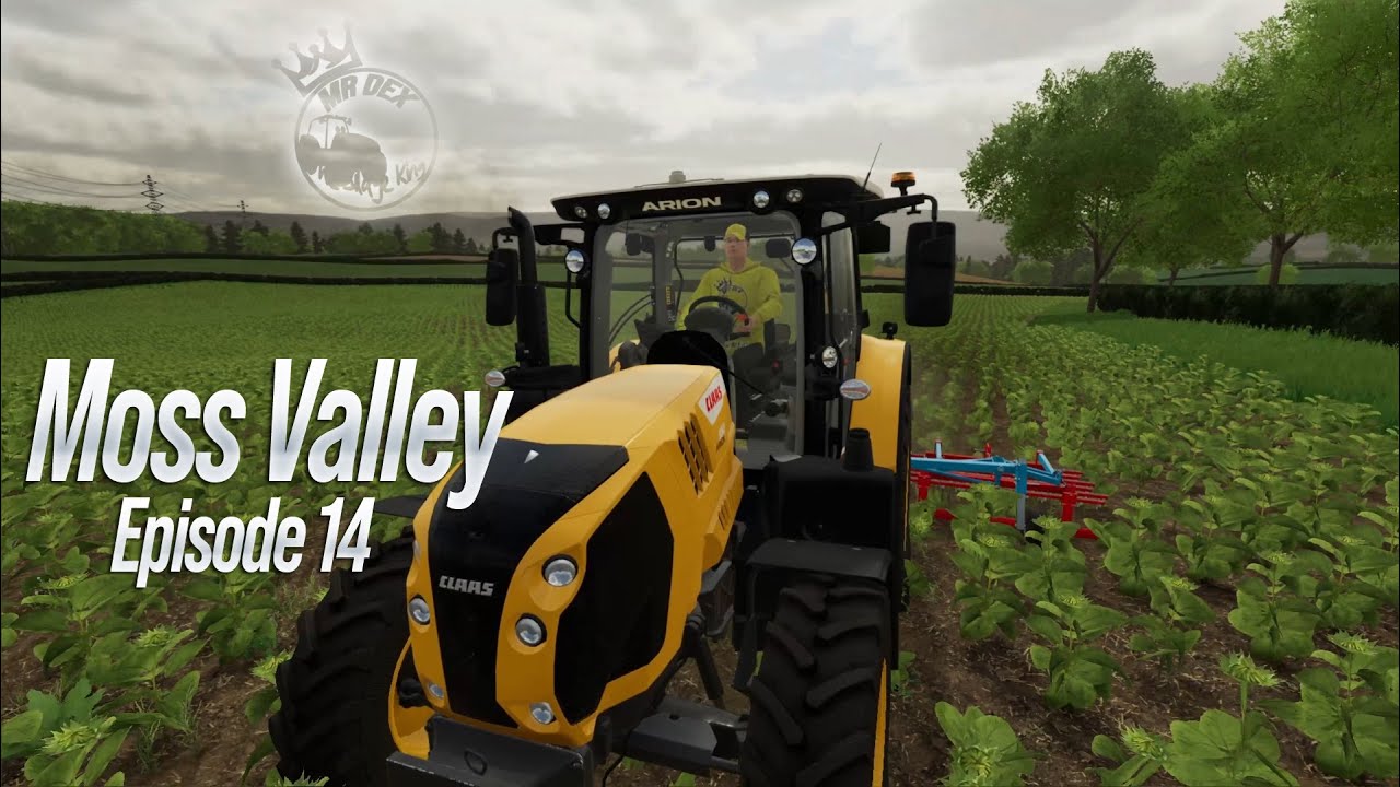 Moss Valley - Contract Work - Episode 14 - YouTube