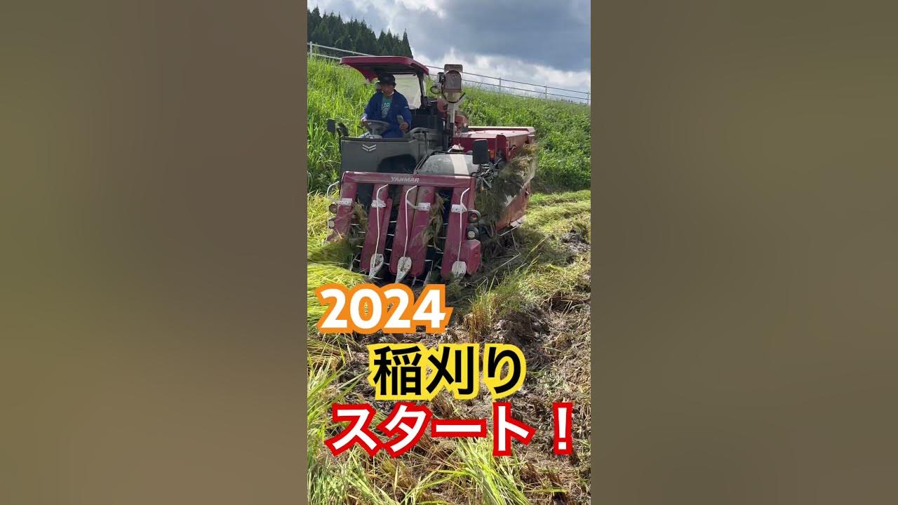 稲刈り 2024 スタート #コンバイン #ヤンマー yh571a #稲刈り - YouTube
