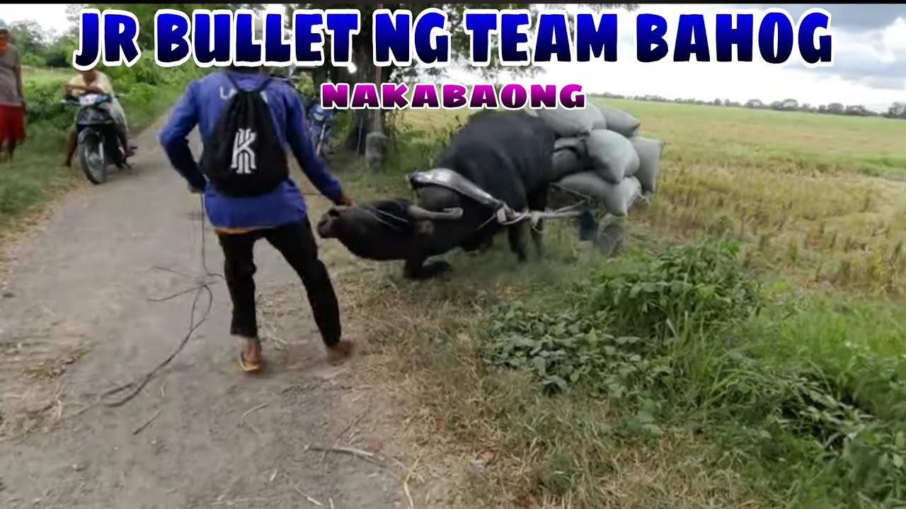 EP,1052. Jr bullet ng team bahog nakabaong - YouTube