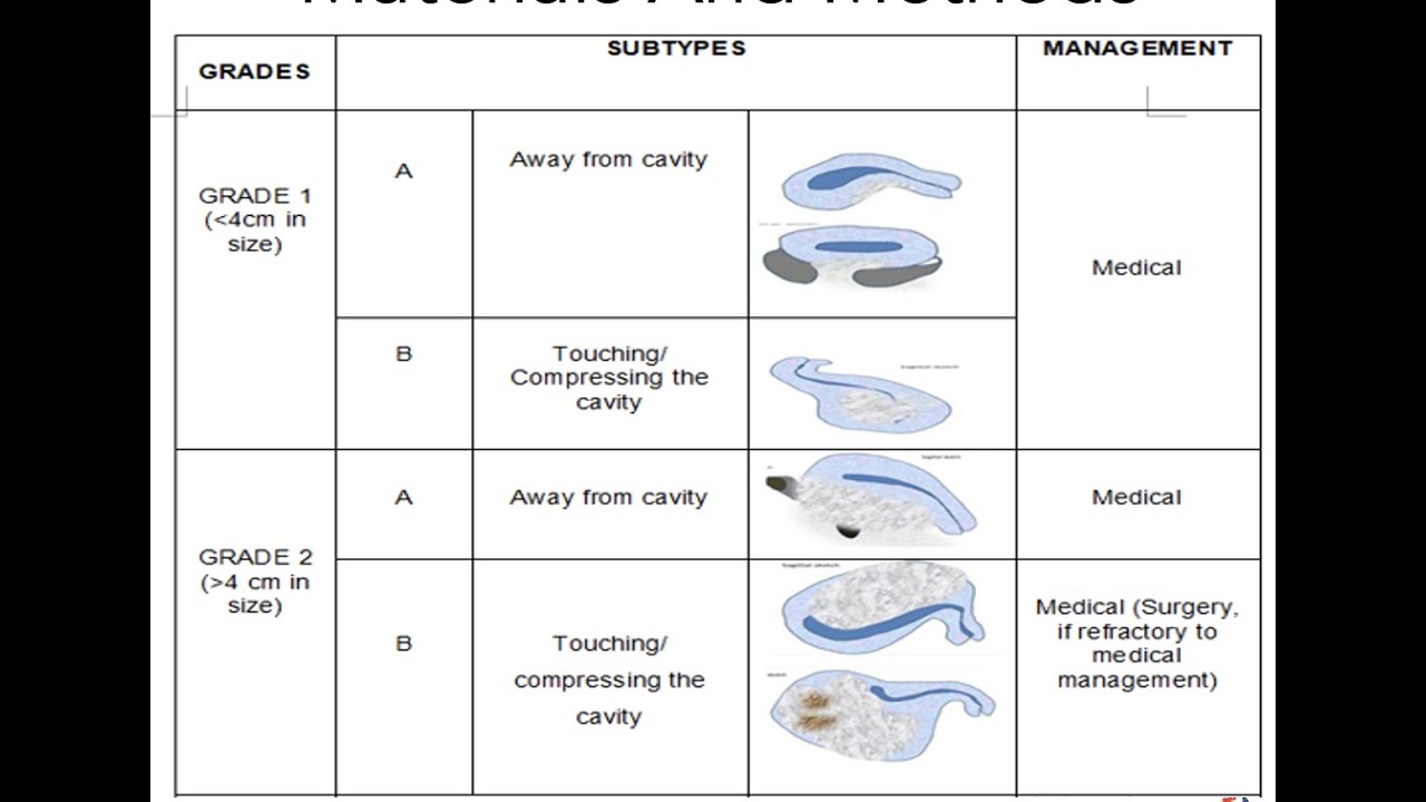Proposed Classification Of Adenomyosis In Infertile Women To Simplify ...