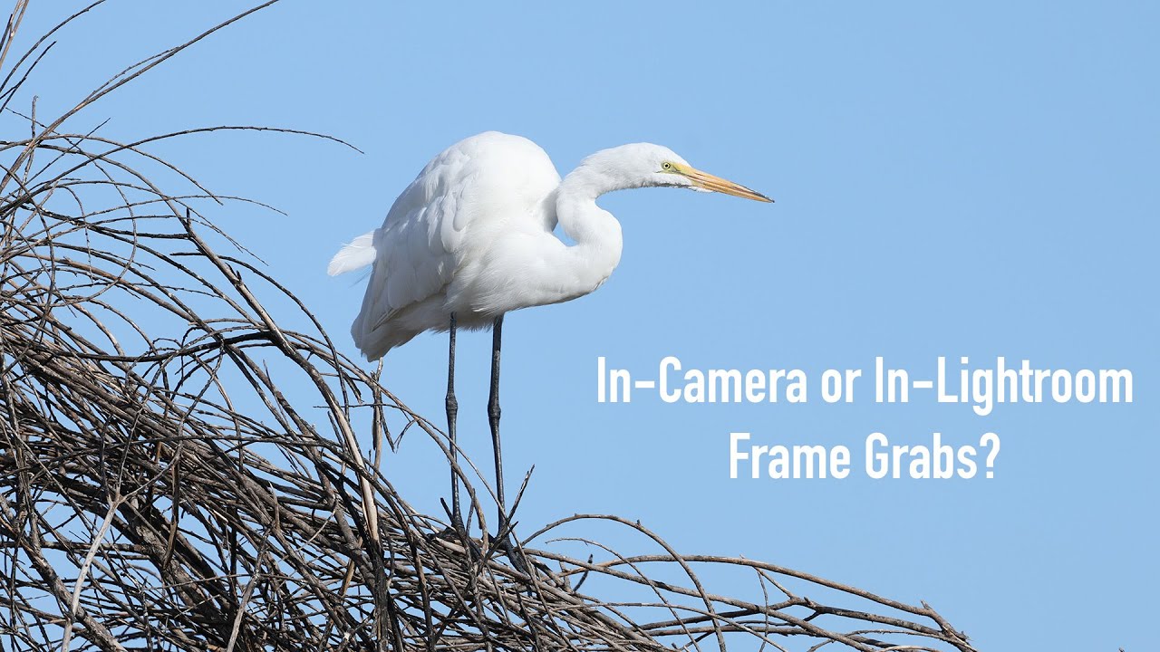 In-Camera or In-Lightroom Frame Grab From Video? - YouTube