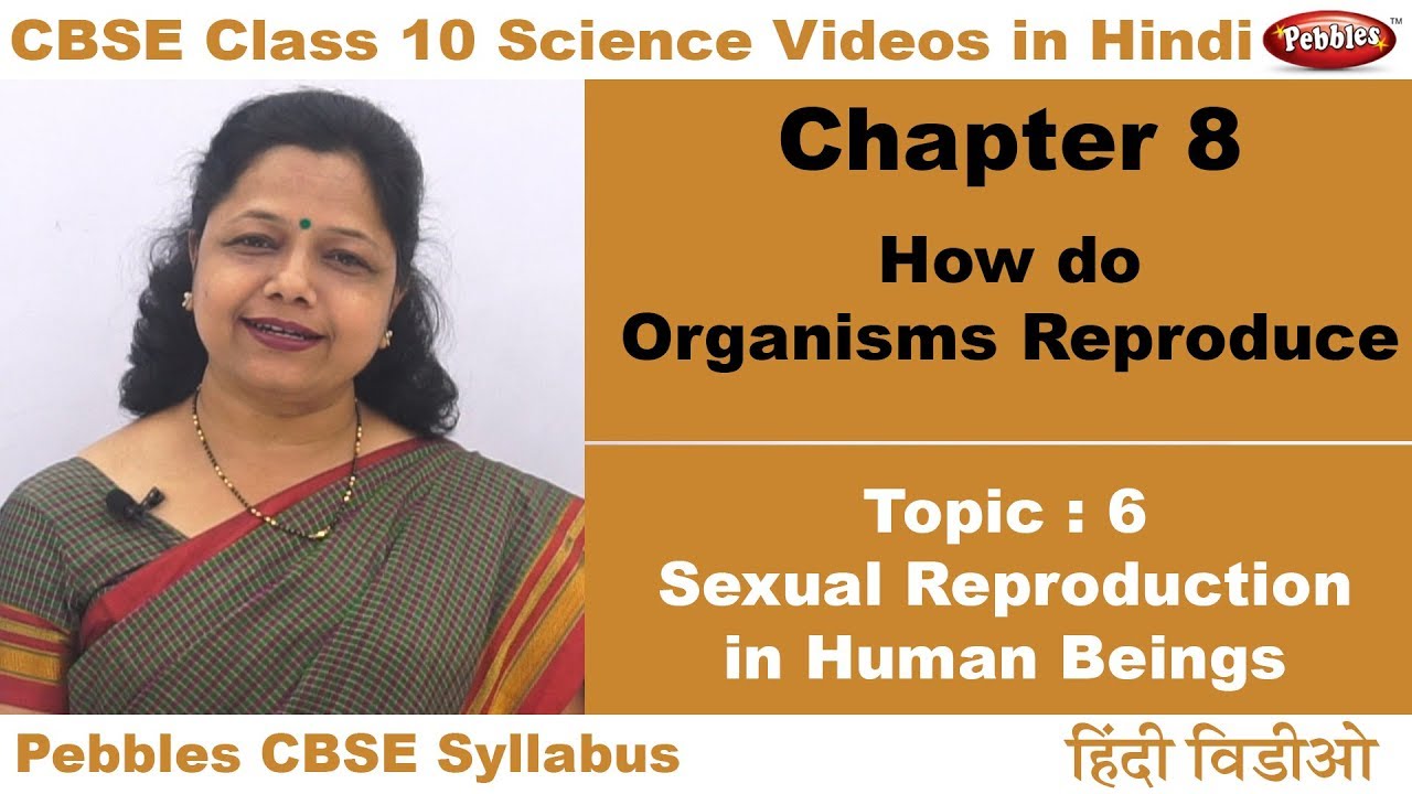 Class 10 Cbse Ncert Science Ch8 Organisms Reproduce T6 Sexual