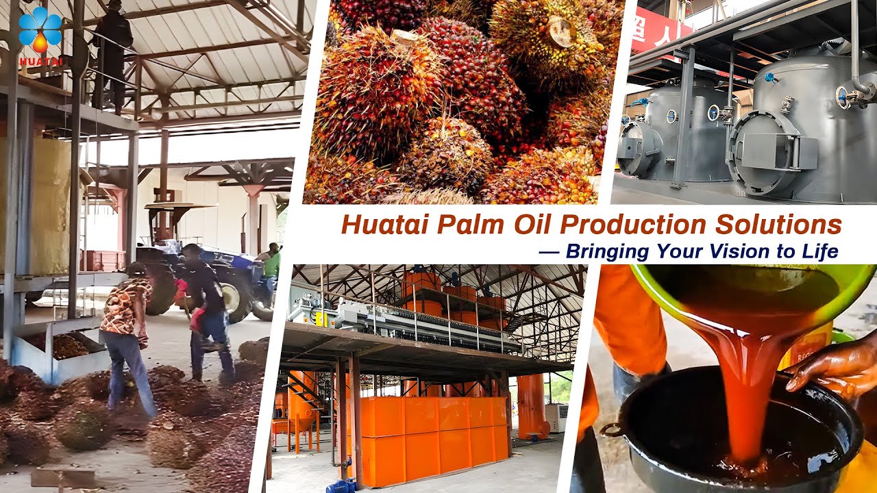 2TPH Palm Oil Milling Plant Setup in Congo Efficient Small Scale Palm ...