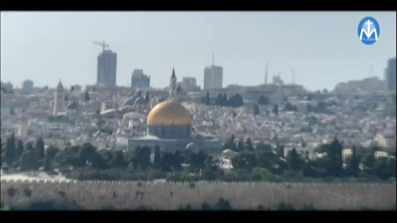 TV Maria Live Programming - YouTube