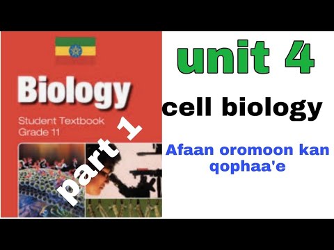 biology grade 11 unit 4 part 1 cell biology - YouTube