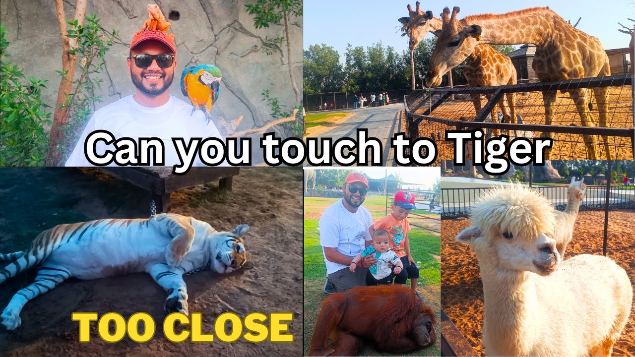 Best Zoo in UAE | Umm al quwain Zoo Wild life park |Dubai best Zoo ...