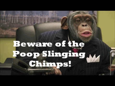 Beware of the Poop Slinging Chimps! - YouTube