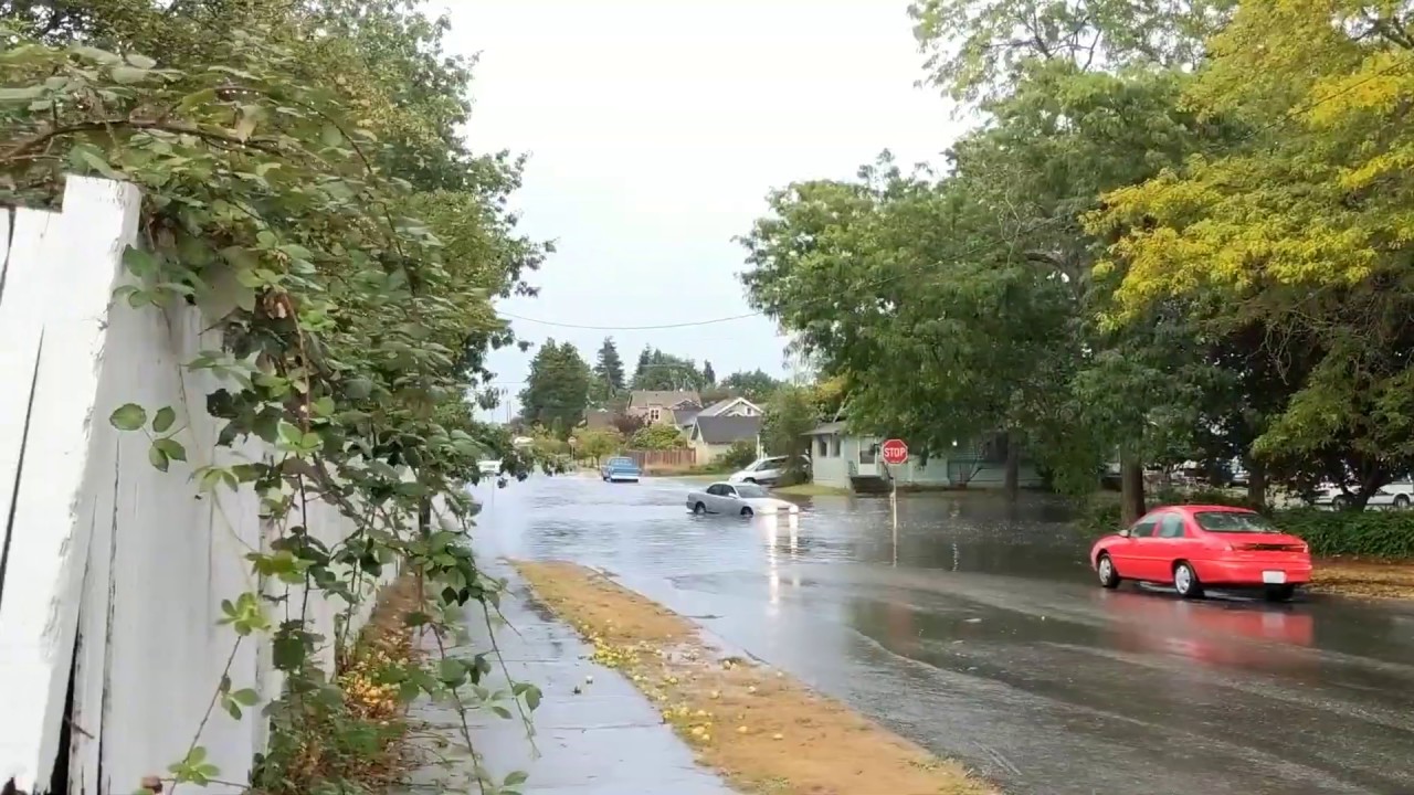 Everett WA city-wide flood 9-9-19 - YouTube