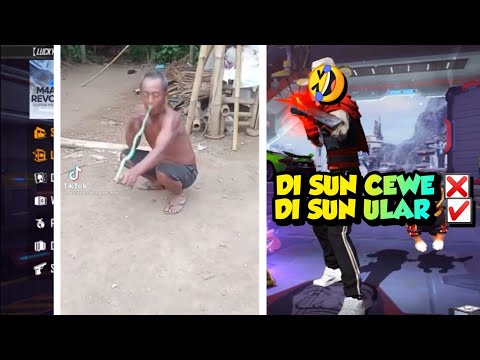 DI CIPOK ULAR 🤣 VIRAL TIKTOK