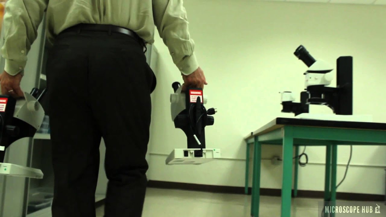 EZ4 Educational Dissecting Stereo Microscope - "Carrying Handle ...