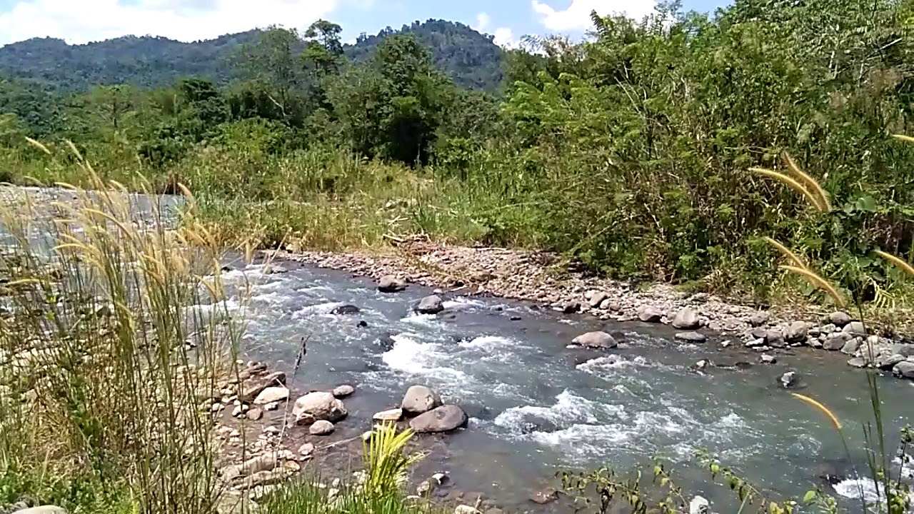 Sungai kampung napong 2 ranau sabah - YouTube