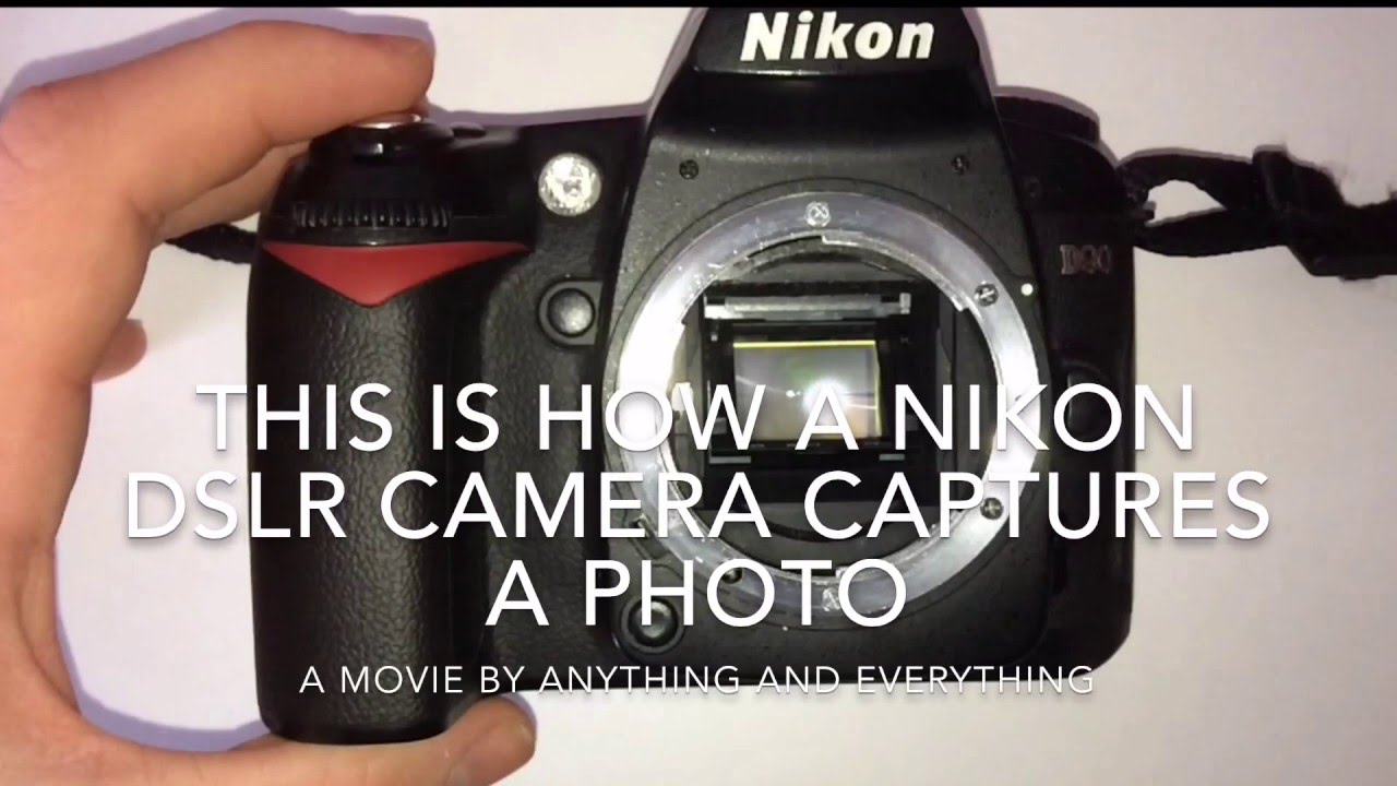 How a DSLR camera works - YouTube