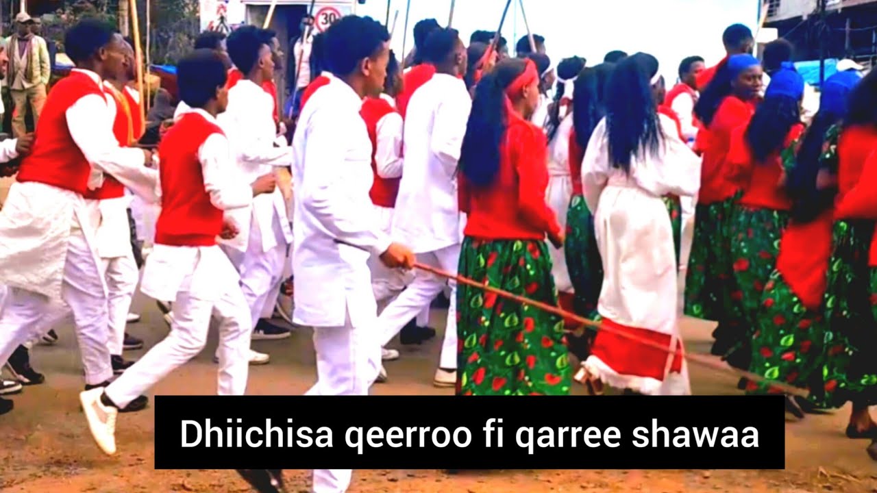 dhiichisa qeerroo fi qarree shawaa - YouTube