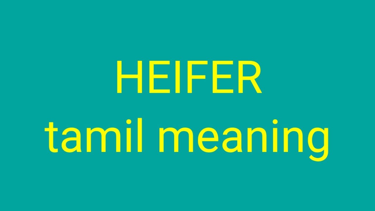 HEIFER tamil meaning/sasikumar - YouTube