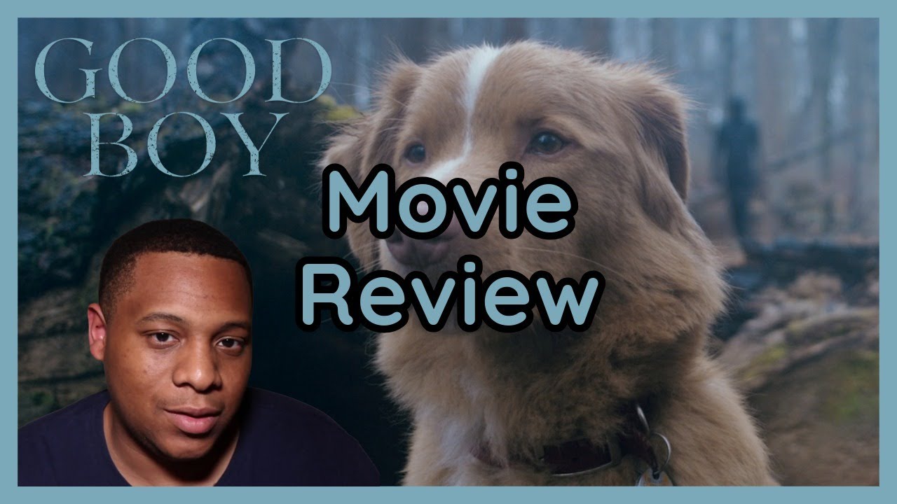 Good Boy - Movie Review - YouTube