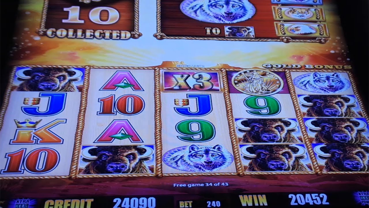 Love To See Buffalo And Sunset x3 GREAT BONUS WIN On BUFFALO GOLD Slot ...