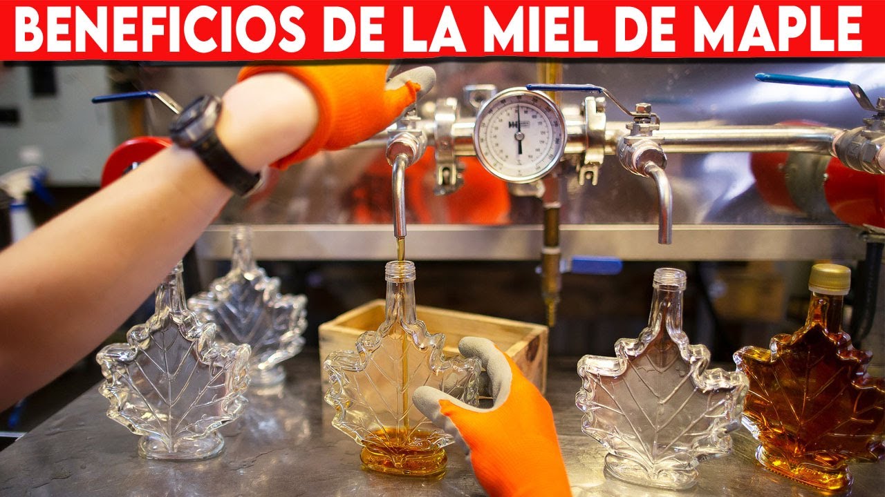 🔴 Beneficios De LA MIEL DE MAPLE Para La Salud PROPIEDADES DE LA MIEL ...
