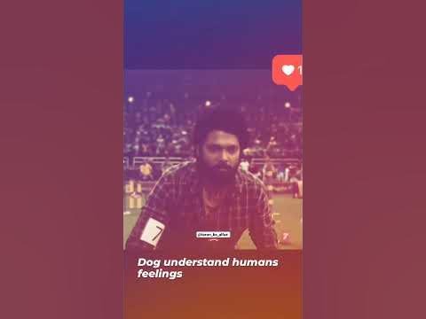 Tag_dog_lover___5.4m_view_thnx_Follow_%40tarun_ke_alfaz ...