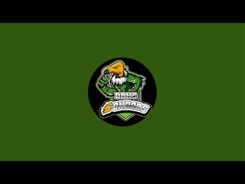 DRHS Condors vs PRP semis regionals - YouTube