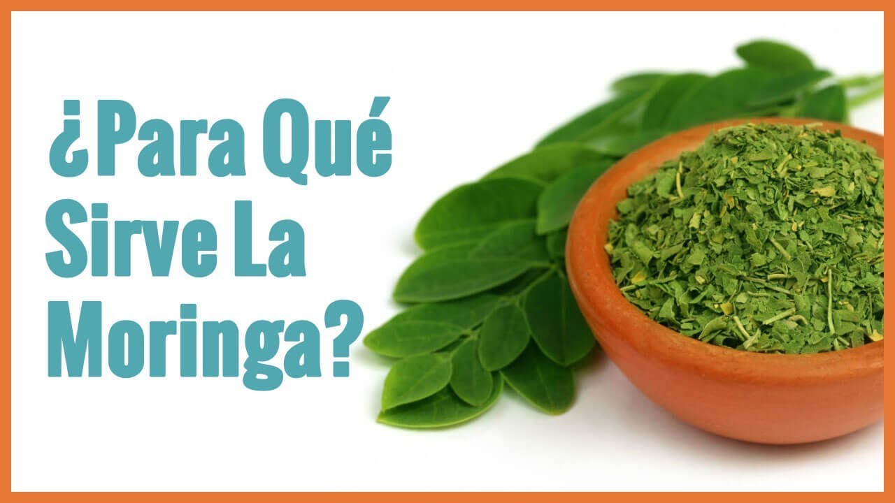 ¿Para Qué Sirve La Moringa? Propiedades y Beneficios - YouTube