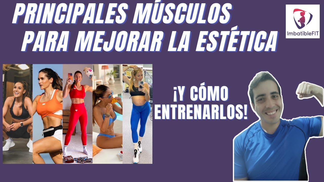 LOS MÚSCULOS MÁS IMPORTANTES PARA MEJORAR LA ESTÉTICA CORPORAL EN ...
