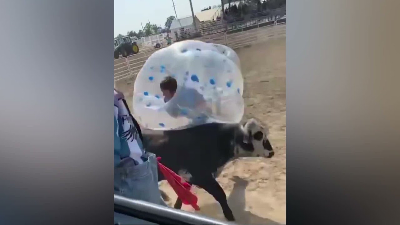 BULL SOCCER I NEED TO TRY THIS - YouTube