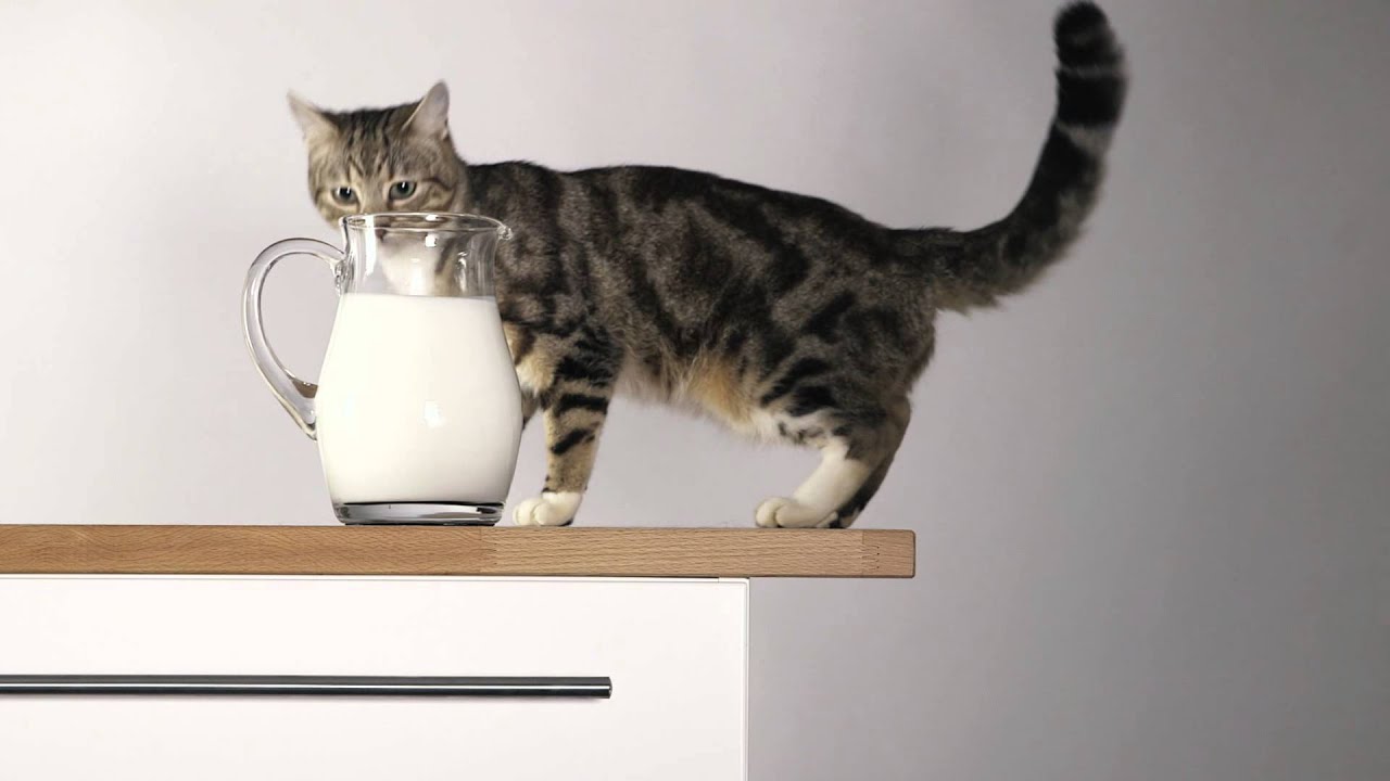 TNS NeedScope: Irresistibility - YouTube