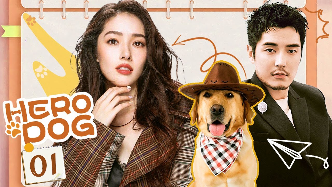 [Eng Dub] Hero Dog EP01 (Hayden Kuo, Jin Shijia) 💘Man and dog learn to ...