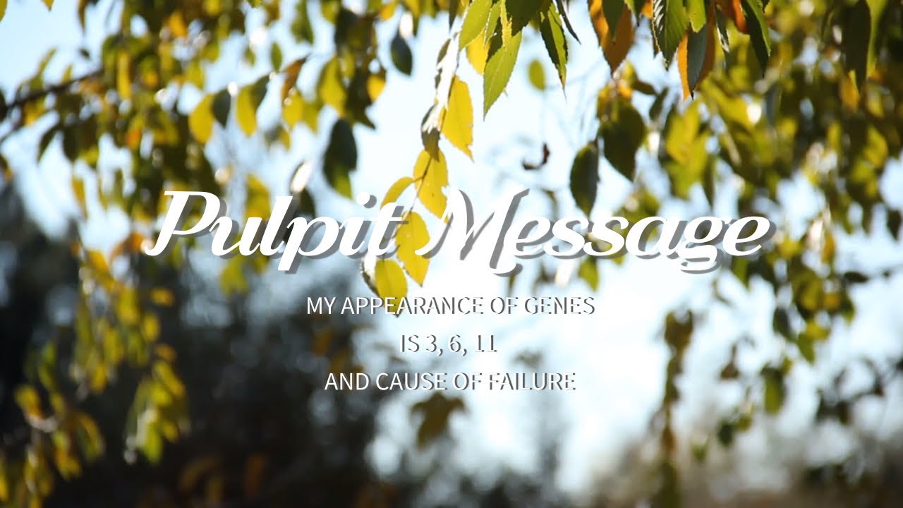 Pulpit Message / Meditation Prayer / My appearance of Genesis 3, 6, 11 ...