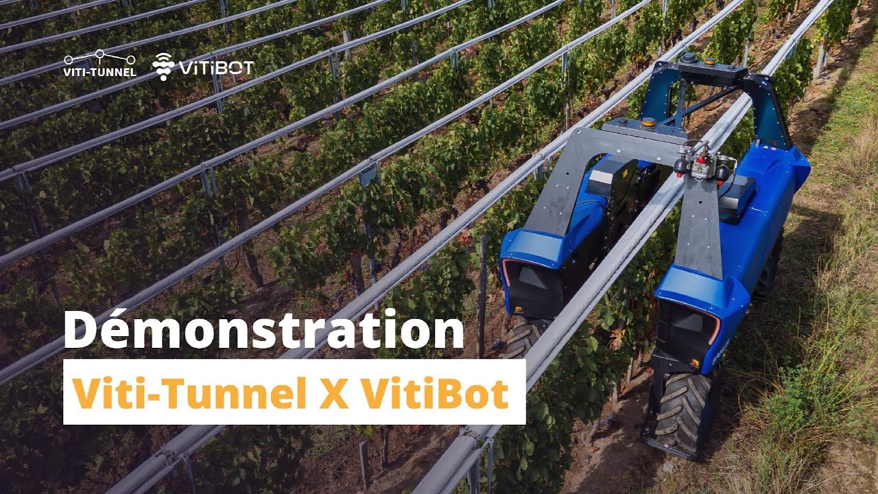 Viti-Tunnel X VitiBot : quand la robotique rencontre la viticulture ...