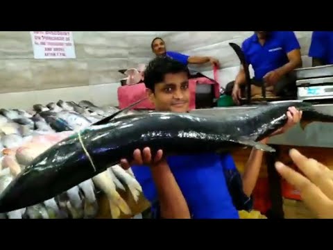 INA Fish Market Delhi - Biggest fish market ( Fish, Octopus, Crabs ...