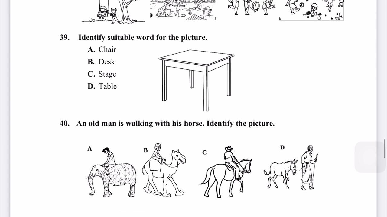 SEAS Exam 27 October 2023 Question Paper Answer Key Class 9 State seas-exam-27-october-2023-question-paper-answer-key-class-9-state