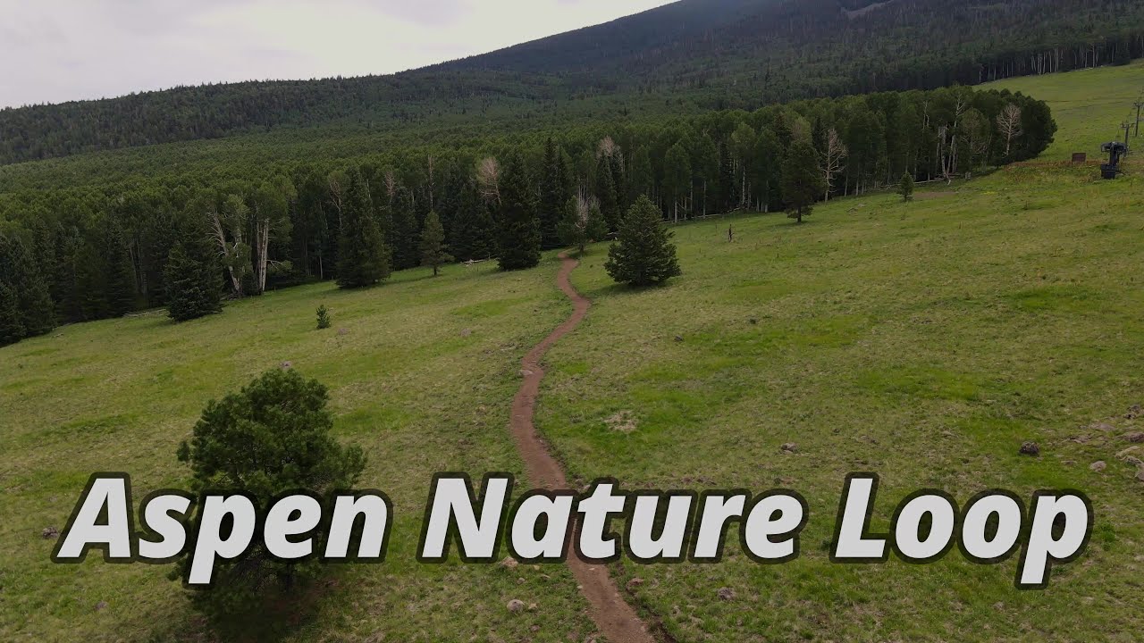 Quick Look: Aspen Nature Loop (Lollipop) Hiking Trail - Arizona - YouTube