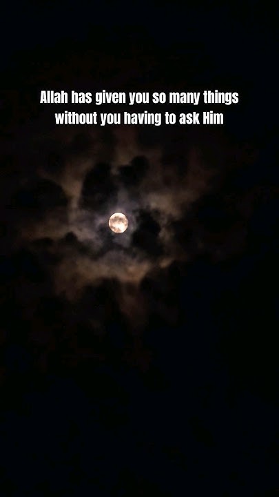 Daily islamic Reminder ️ Video 11 #islam #allah #quran - YouTube