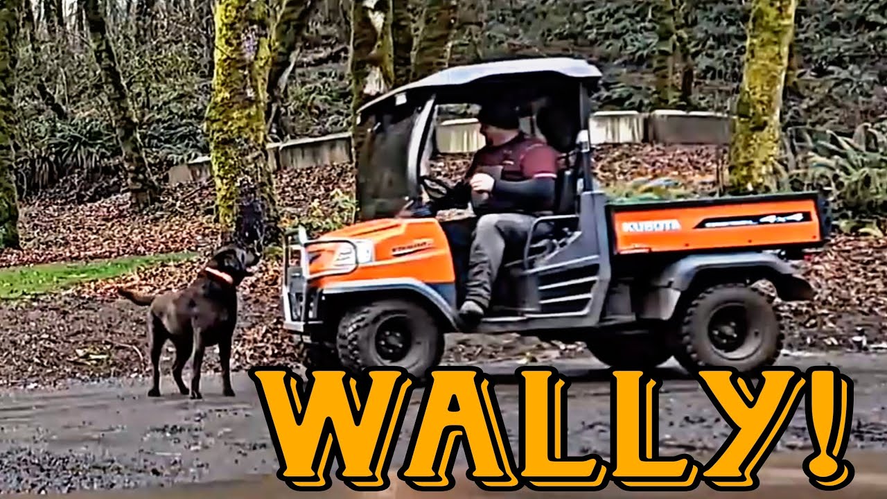 Wally The Pushy Tour Guide - YouTube
