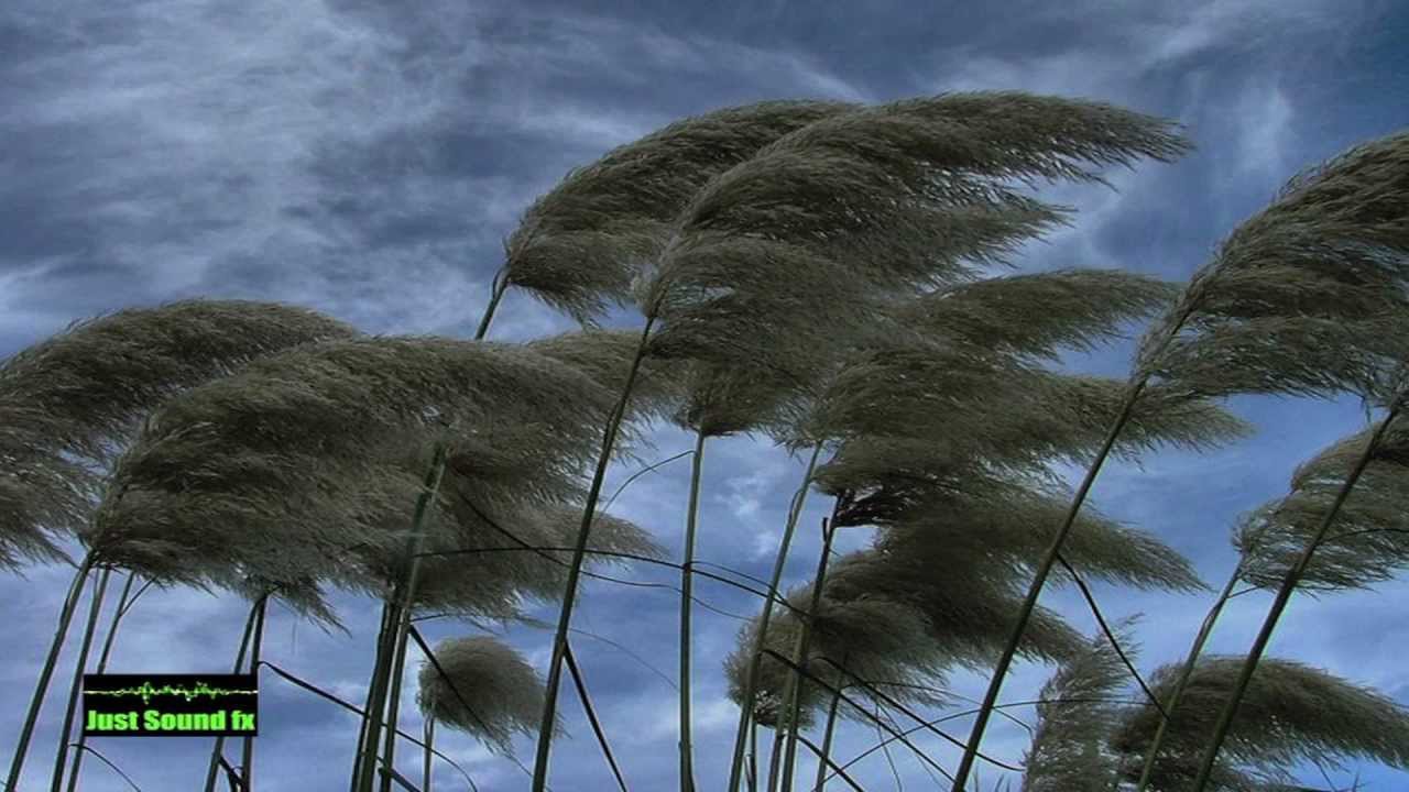 wind sound - YouTube