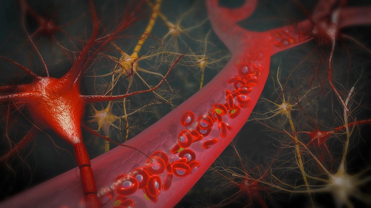Neuronal Injury - YouTube