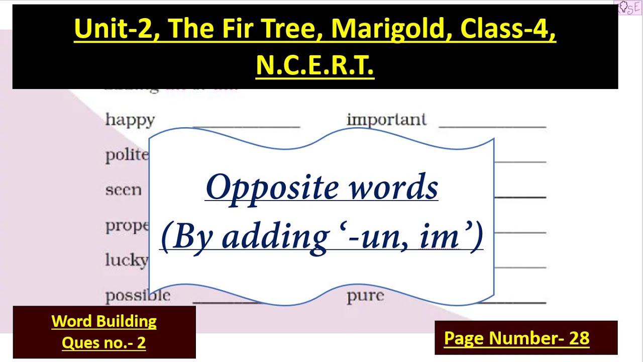 Class 4 English Marigold Unit 2 Opposite Words Using un And im class-4-english-marigold-unit-2-opposite-words-using-un-and-im