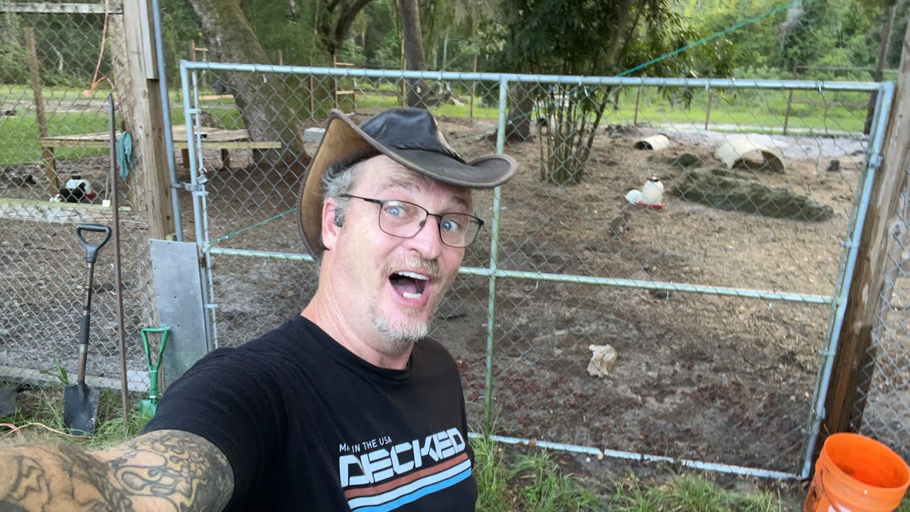 Get Swamped SUNDAY NIGHT LIVE 🤙🏼 - YouTube