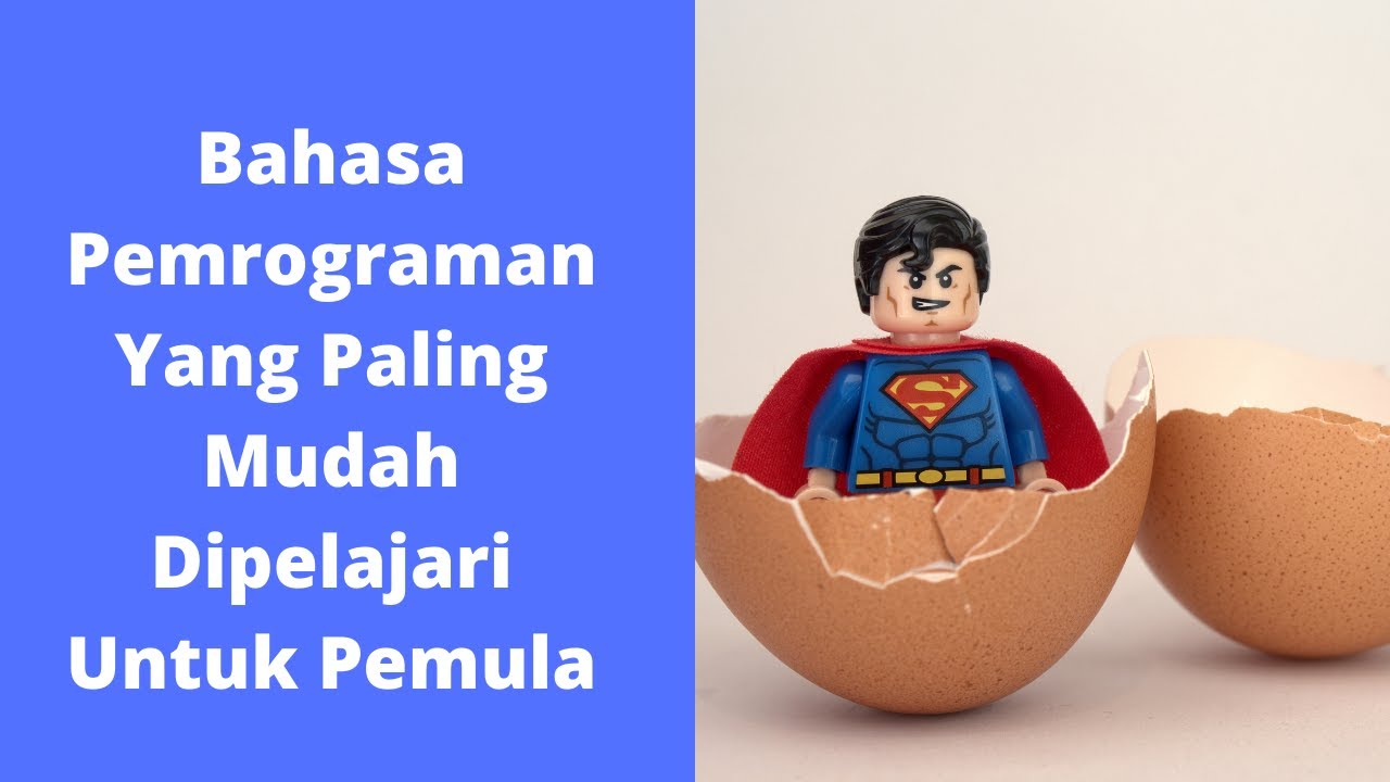 Bahasa Pemrograman Untuk Programer Pemula - YouTube