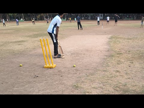 cricket is love - YouTube