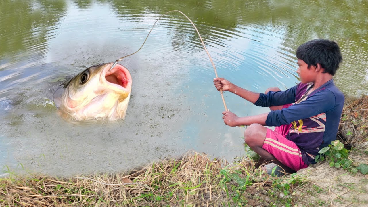 Fishing Video ️|| catching fish by rod ~ Traditional hook fishing in ...