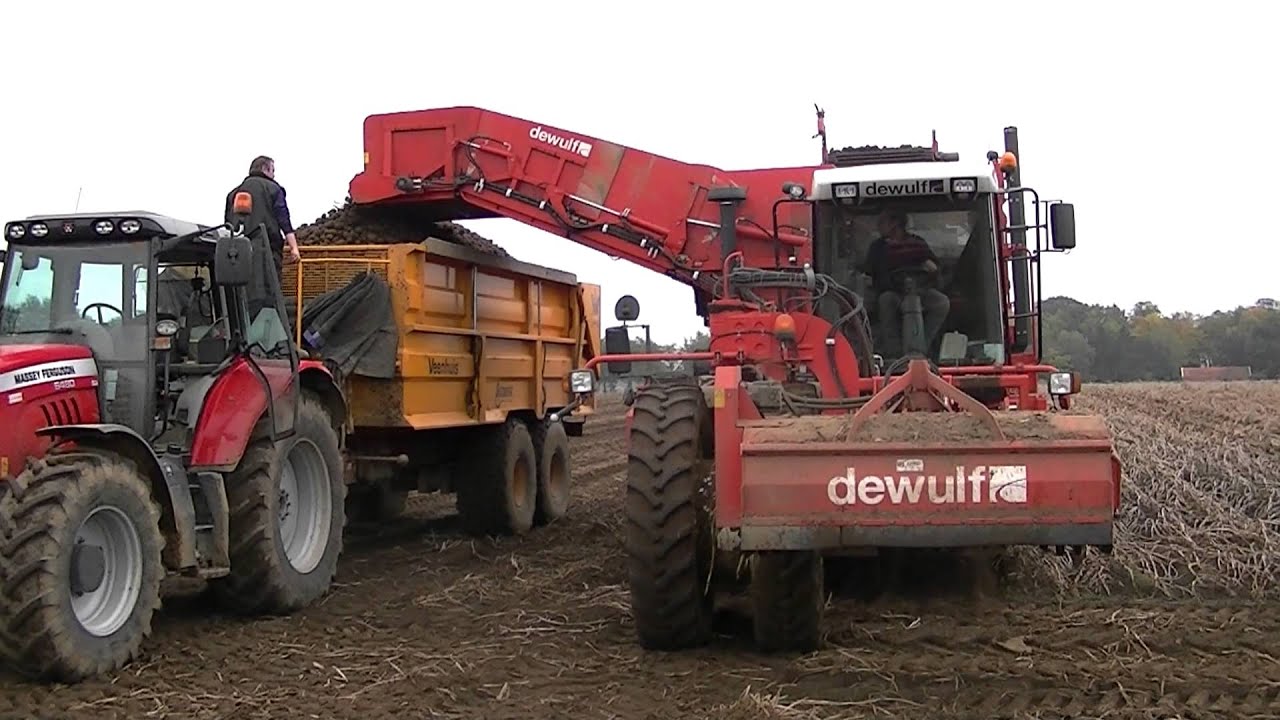 DeWulf Kwatro and DeWulf 3060 potatoharvester by Klein Hesselink ...