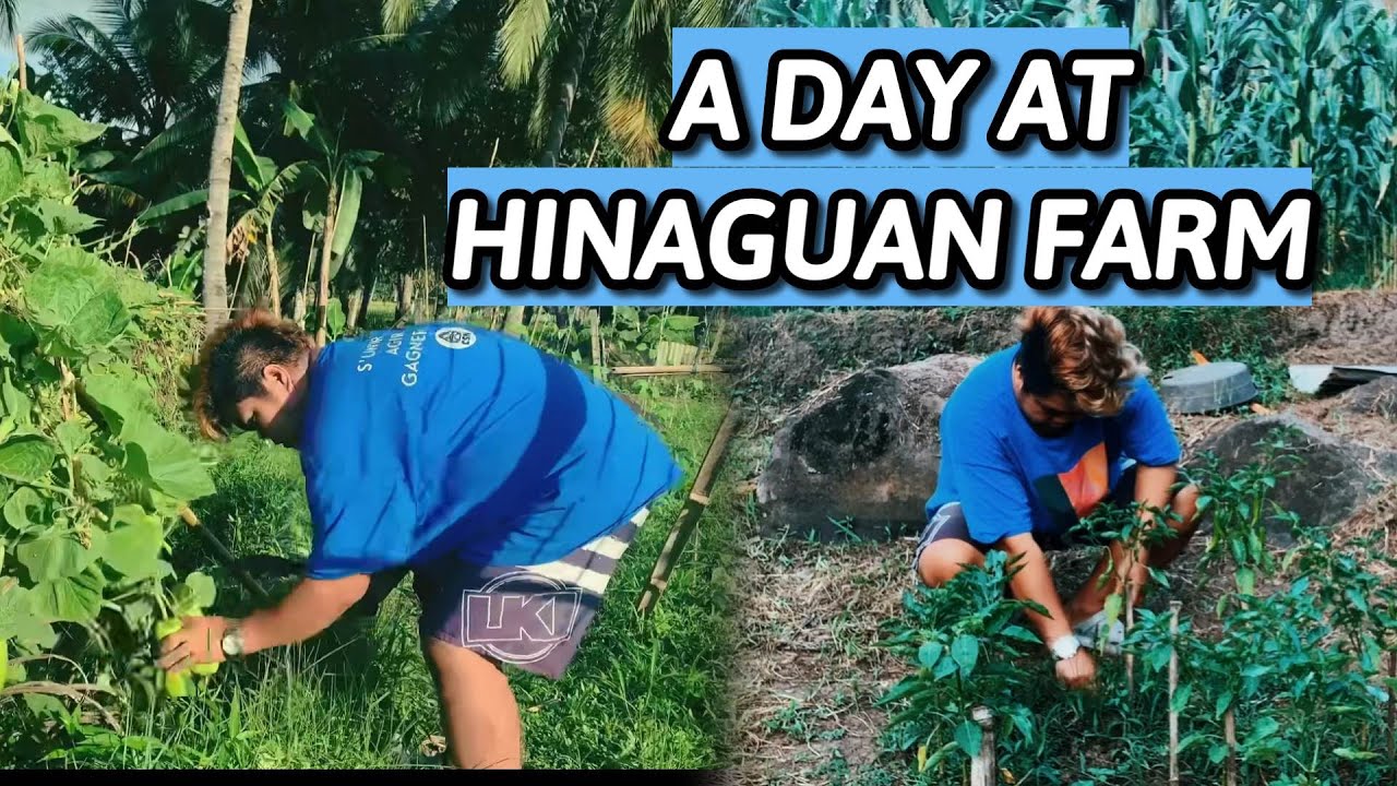 A day at hinaguan farm - YouTube