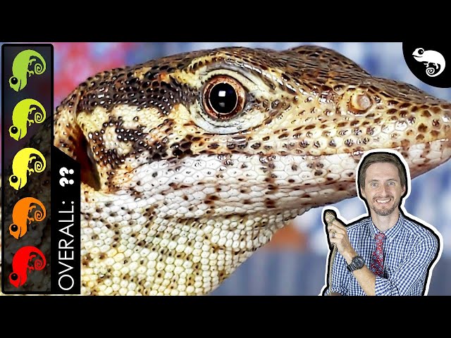 Timor Monitor Enclosure