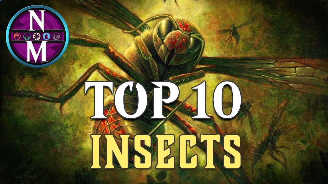 MTG Top 10: Insects | Magic: The Gathering | Episode 375 - YouTube