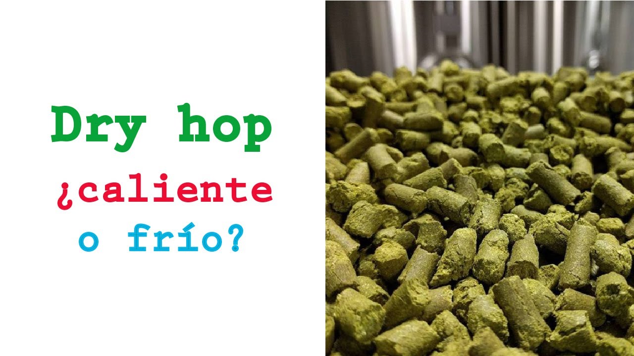 ¿Hacer Dry Hop en "caliente" o en "frío"? - YouTube