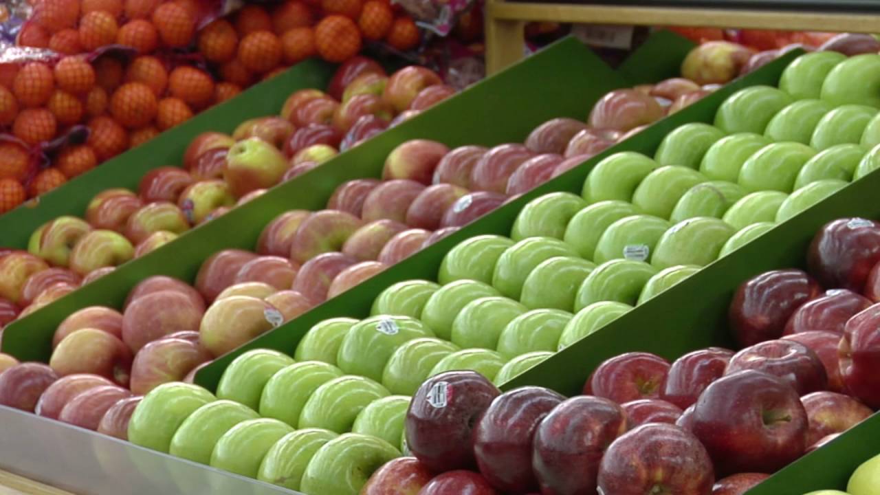 Apple Maggot Flies | A textbook example for evolution in action - YouTube