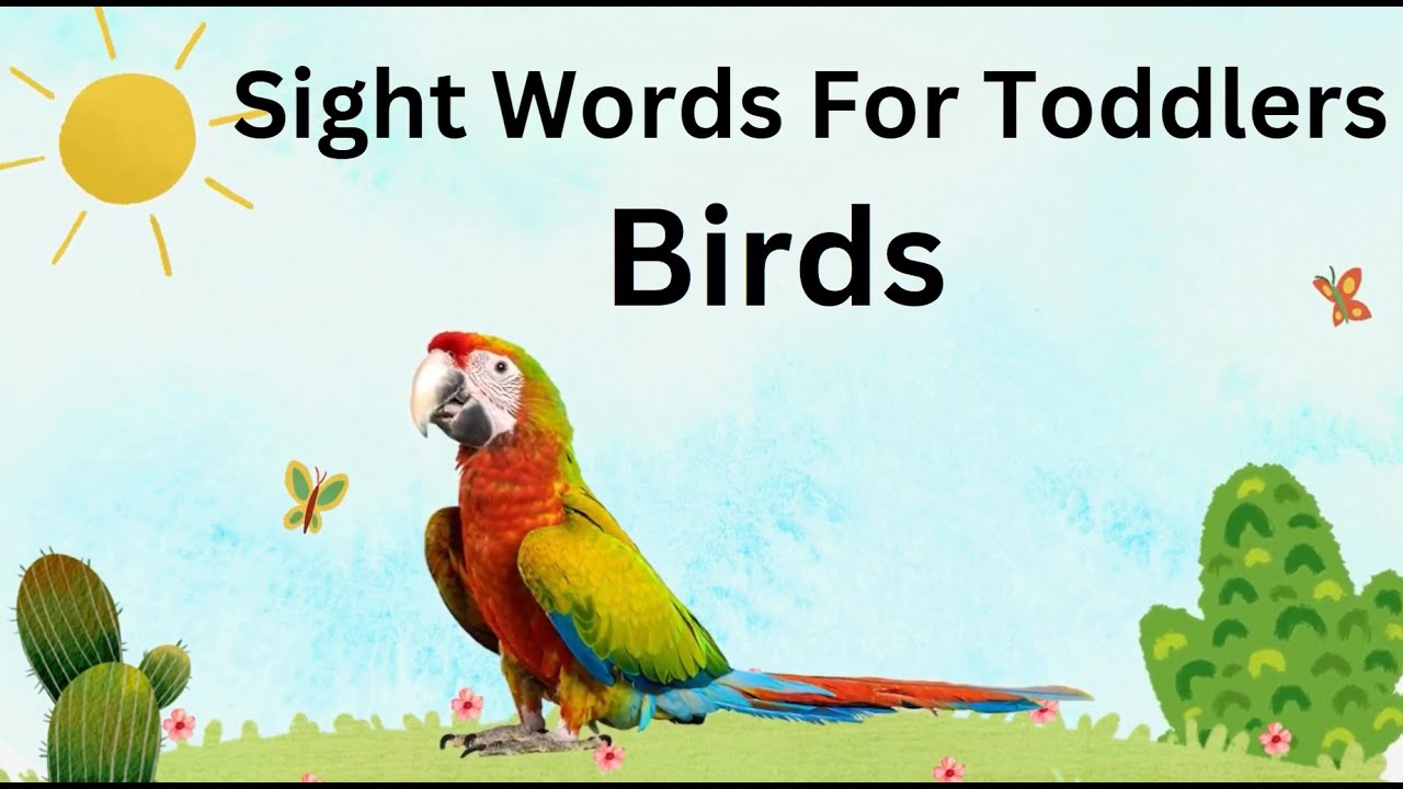 Names of Birds| Sight words for toddlers |Flash Card Style ...