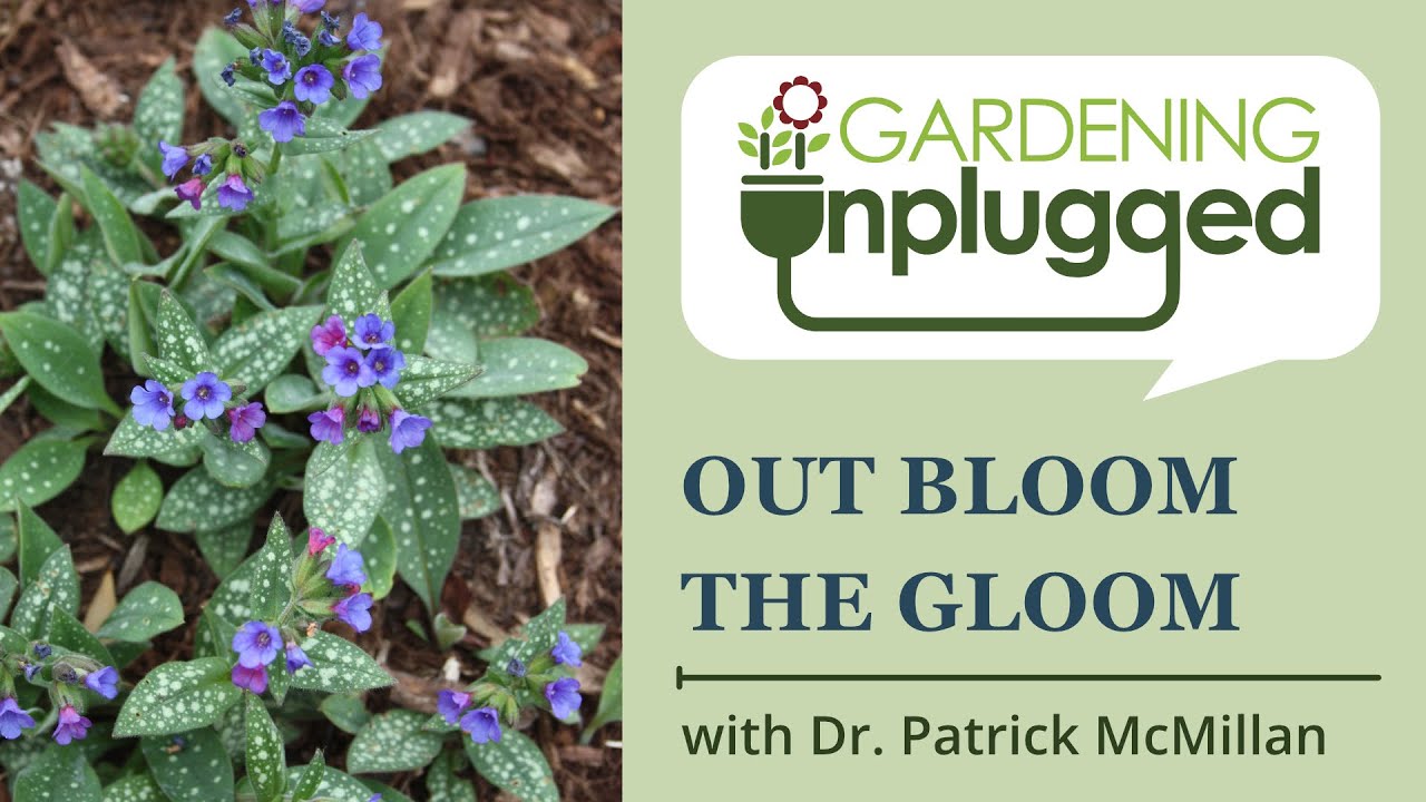 Gardening Unplugged - Out Bloom the Gloom with Dr. Patrick McMillan ...